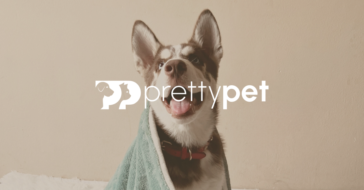 Pretty Pet